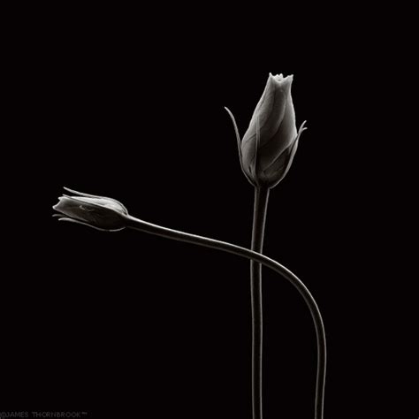 Artist Spotlight James Thornbrook