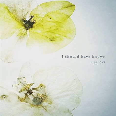 New Music Liam Cyr Releases Moving Folk Motif I Should Have Known