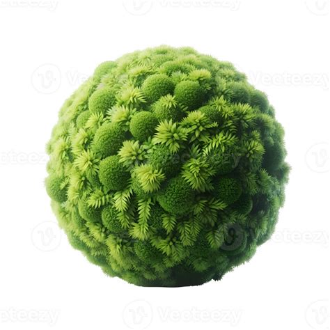 The Spherical Garden 60194569 Png