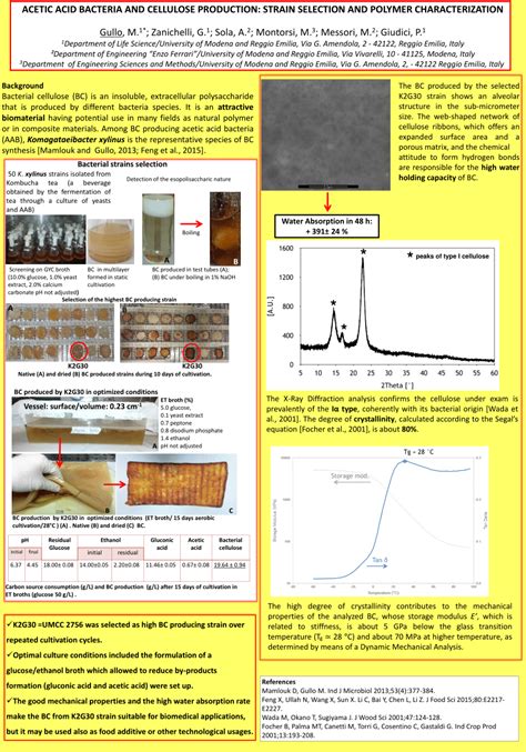 Pdf Acetic Acid Bacteria And Cellulose Production Strain Selection