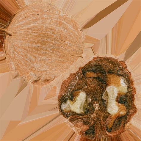 Open Half Walnut Shell 03 3d Turbosquid 2017277