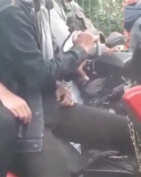 Bulge Tumbex Bulge Tumbex