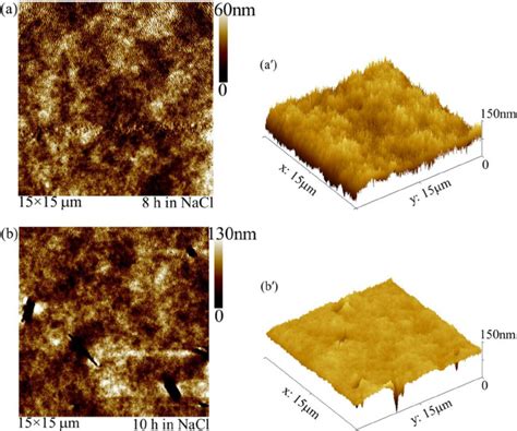 Sequential In Situ Afm Images In 2d A B And 3d A B Of The Download Scientific Diagram