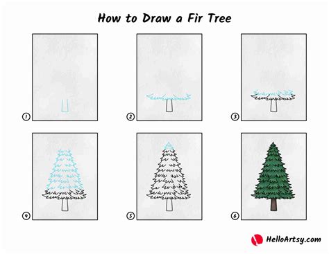 Fir Tree Drawing Easy
