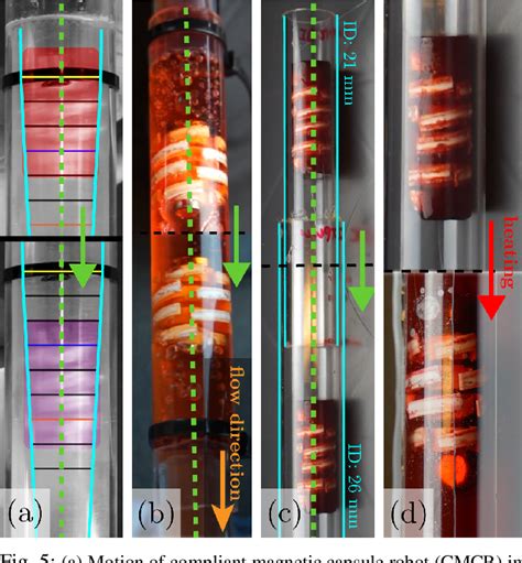 Figure 5 From Design Of A Compliant Magnetic Capsule Robot For