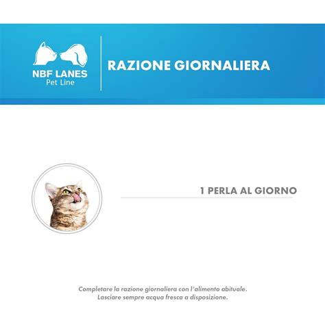 Nbf Lanes Nefrokrill Gatto