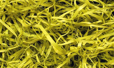 Wood Wool 100g Fine Lime Green Online Store Core Pack