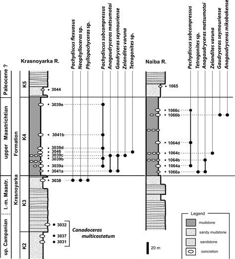 Late Maastrichtian Latest Cretaceous Ammonoids From The Naiba Area