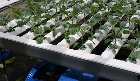 7 Tips For Building A Cheap Hydroponic System Crate And Basket