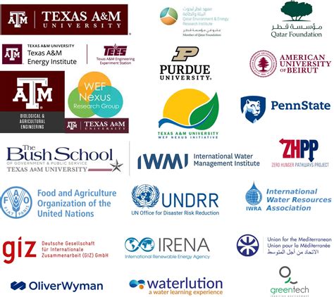 Bio Bassel Daher Phd