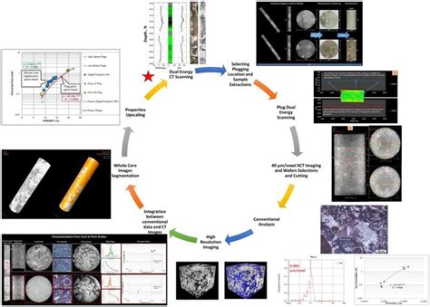 Cycle Of The Unique Workflow Used In Characterizing The Complex Whole Download Scientific