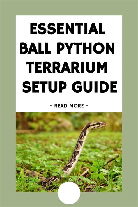 Ball Python Terrarium Setup The Ultimate Guide To Get You Started Ball Python Ball Python