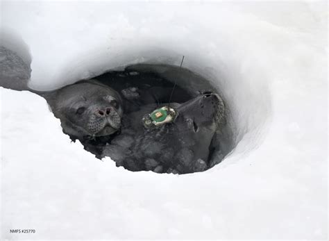 Success Our Fearless Leader Michelle Larue Along With Dan Costa And