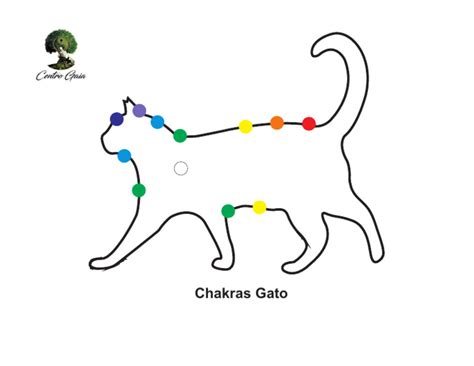 C8 Chakras Gato Pdf