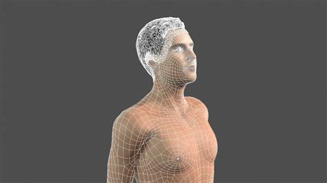 D Model Rigged T Unity TurboSquid