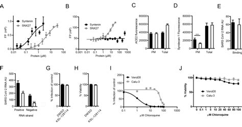Ksl 128114 Inhibits Sars Cov 2 Entry Of Cells A Fp Based Affinity