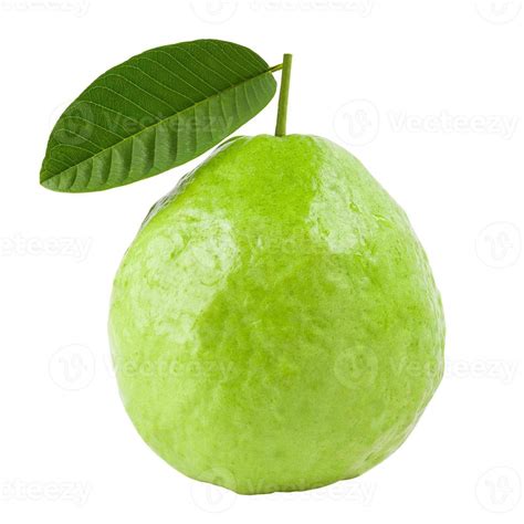 Guava Fruit With Leaves Isolated On The White Background 11046950 Stock