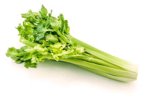 Salade De Céleri Rave Guide Complet Pour Découvrir Ce Légume