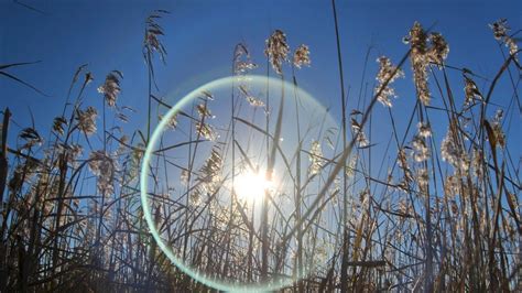 Australia Day Honours List 2020 David Leece Reveals The Tales Of A