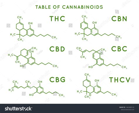 Cannabinoid Structure Cannabidiol Molecular Structures Thc Stock