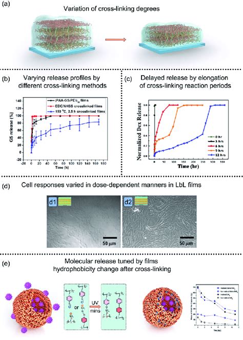 Variation Of The Crosslinking Degree Results In Modification Of