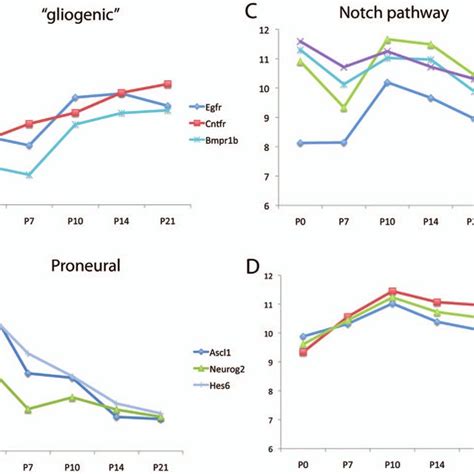 Line Graphs Of The Expression Levels Of Specific Genes As A Function Of