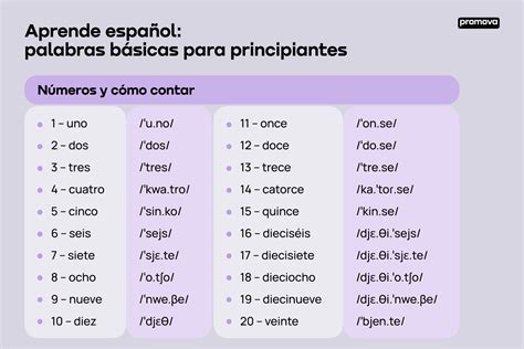 Frases Básicas Y Palabras Esenciales Del Español Para Principiantes