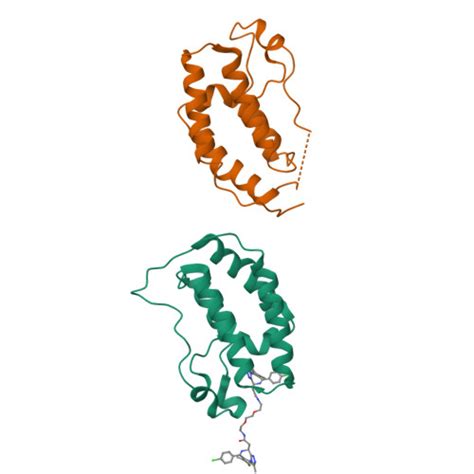 Gene O60885 Protein Brd4 Domains And Structures Cansarai