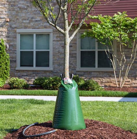 What Are Tree Watering Bags Laidback Gardener