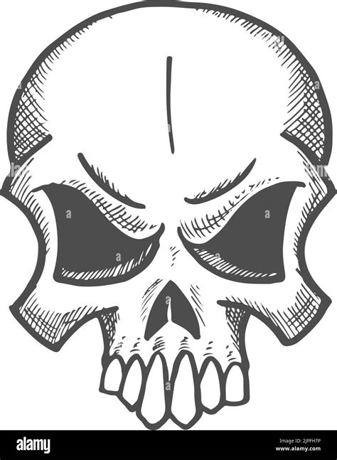 Angry Skull With Sharp Teeth Isolated Dead Person Head Sketch Vector