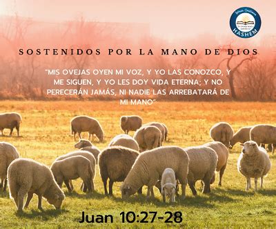 Sostenidos Por La Mano De Dios Iglesia Cristiana Hashem