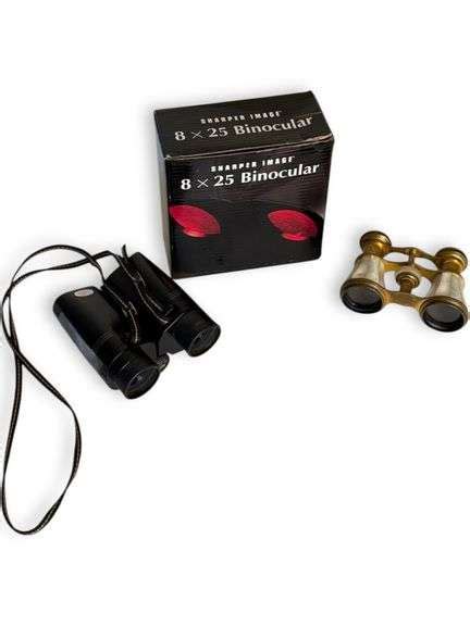 Iris Paris Mother Of Pearl And Brass Opera Glasses Plus Two Nikon And