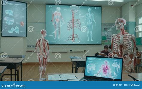 Anatomy Class With Digital Models Stock Illustration Illustration Of