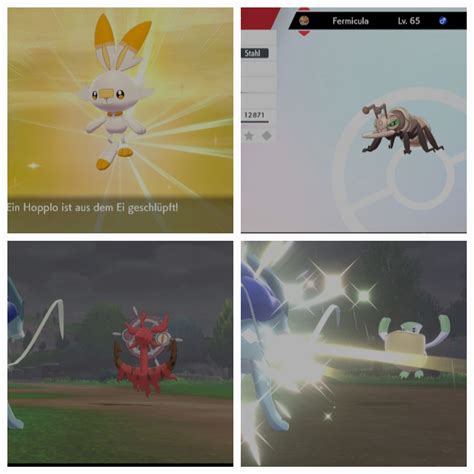 83 Best Pelipper Images On Pholder Stunfisk Shiny Pokemon And Nuzlocke