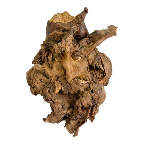 Treebeard Unique Driftwood Artwork Sculpture Chairish