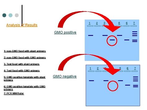 Gmo Investigator Is Your Food Genetically Modified Gmo
