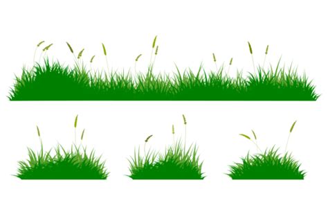 Green Grass Graphic By Cyudeshbuhu · Creative Fabrica