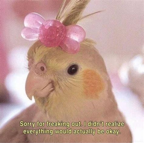 Existential Memes 41 Memes To Accompany Your Cosmic Shrug