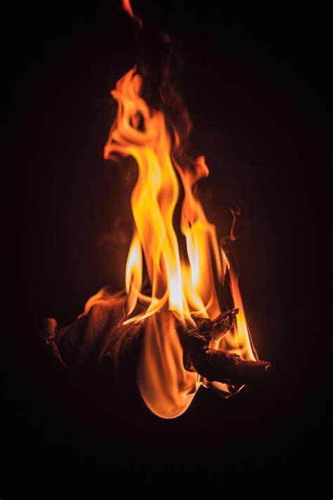 Free Images Burn Burning Burnt Close Up View Dark Fire Firewood