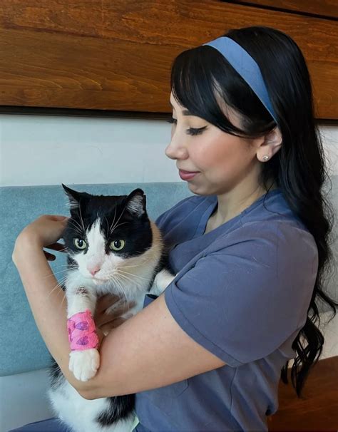 Jayde Rose Valley Veterinary Hospital