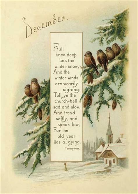 Vintage Christmas Card With Birds Winter Poem With Bird Vintage
