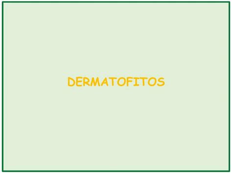 15 Dermatofitos Liquidoh愛 Udocz