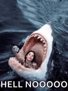 Funny Shark S Tenor