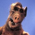 Alf Meme Generator Imgflip