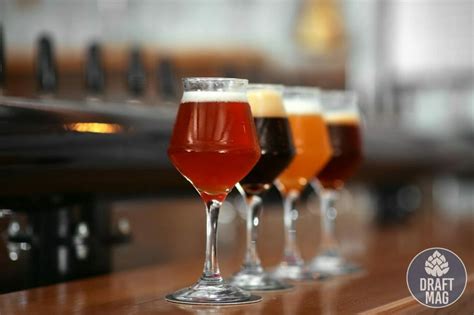 Sessions IPA Vs IPA How To Choose One For Your Next Party