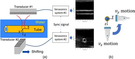 A Experimental Setup With Two Verasonics Systems And Dual