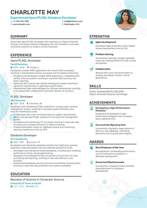 Database Developer Resume Sample Resume Of Business Intelligence