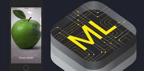 Apple Ml Quantum Tunnel