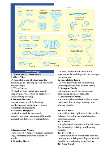 Microbiology Lab 1 Laboratory Instruments Pdf Laboratories Laboratory Equipment