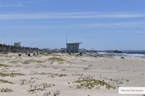 56 Million Santa Monica Breakwater Restoration Project On Bay